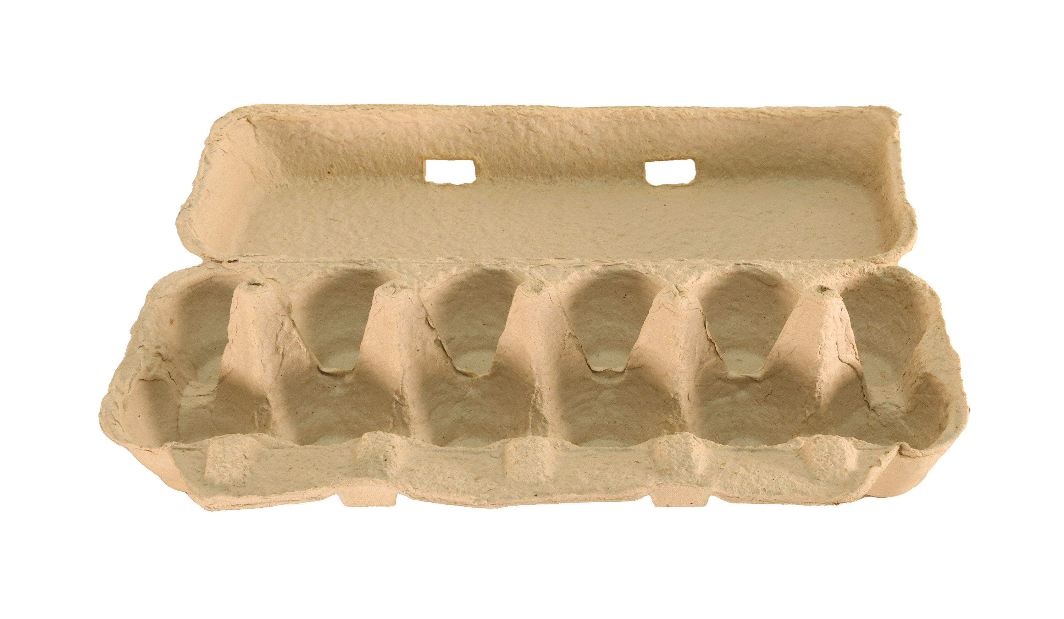 Little Giant Solid Top Egg Carton - EGGCTNSLD